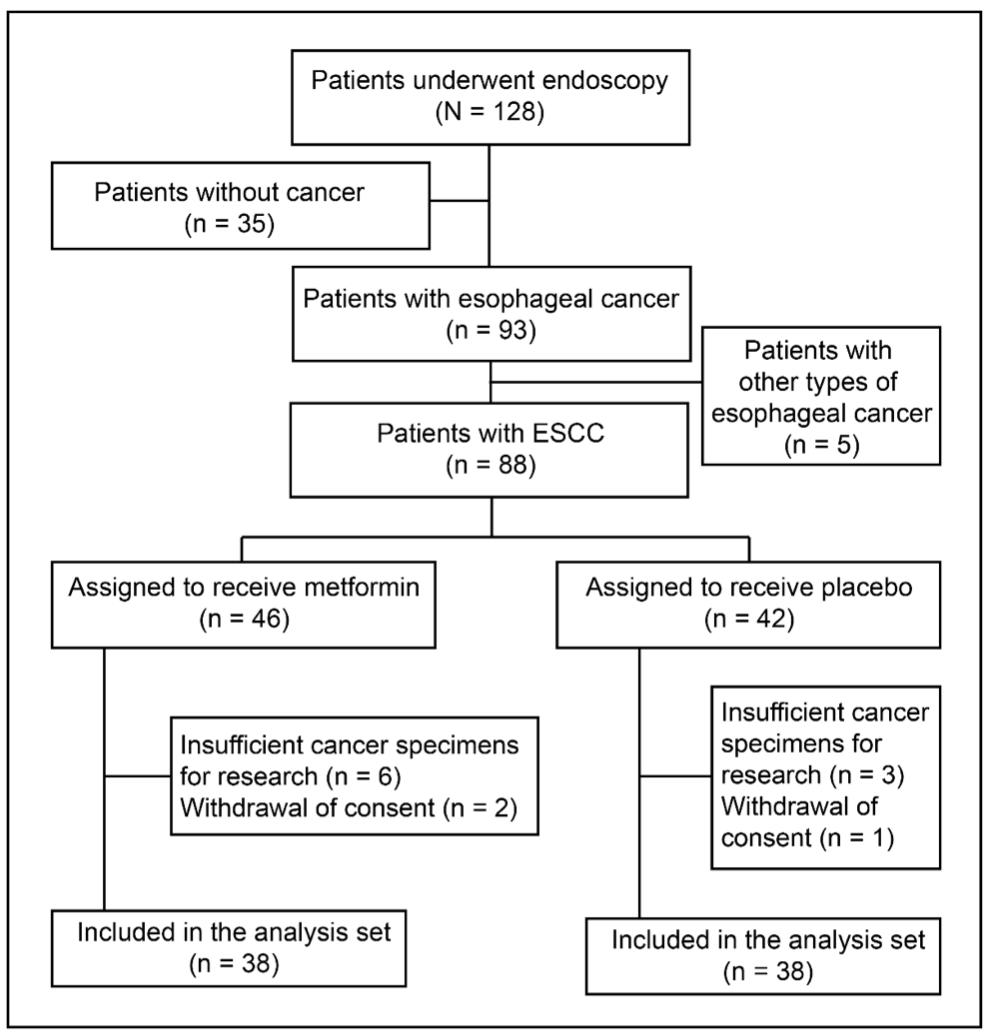 CCR：二甲双胍激活肿瘤免疫微环境！中国科学家发现，低剂量二甲双胍使肿瘤微环境往抗癌方向转变丨临床大发现 - 癌症123